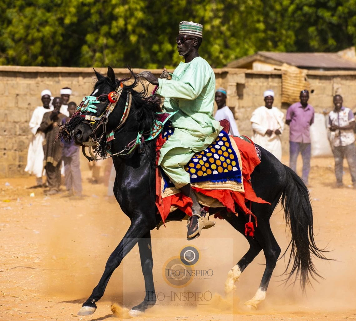 Argungu International Fishing and Cultural Festival - Teo-Inspiro ...